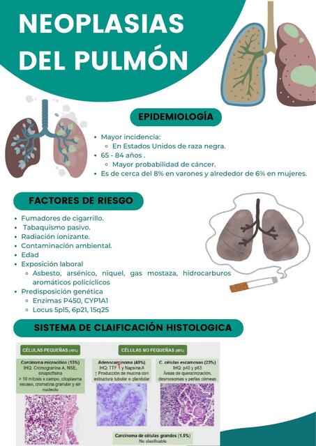 Neoplasias de pulmón | Nancy A3C | uDocz