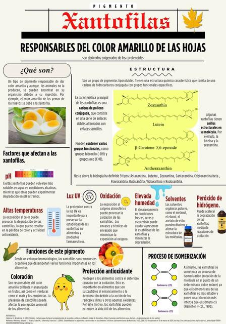 Xantofilas | Ranita Cientifica | uDocz