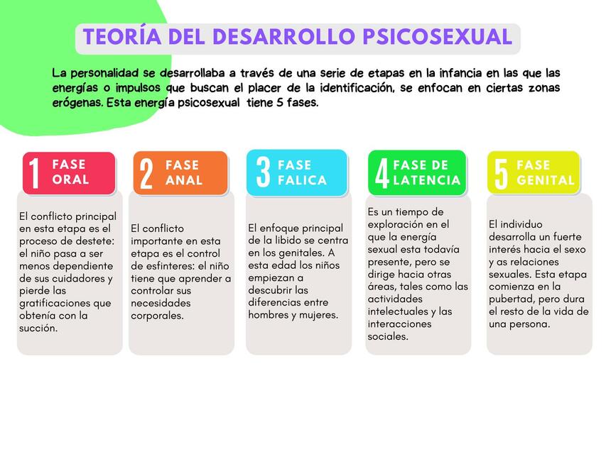 Teoría del desarrollo psicosexual y teoría psicoanalítica | Renato | uDocz