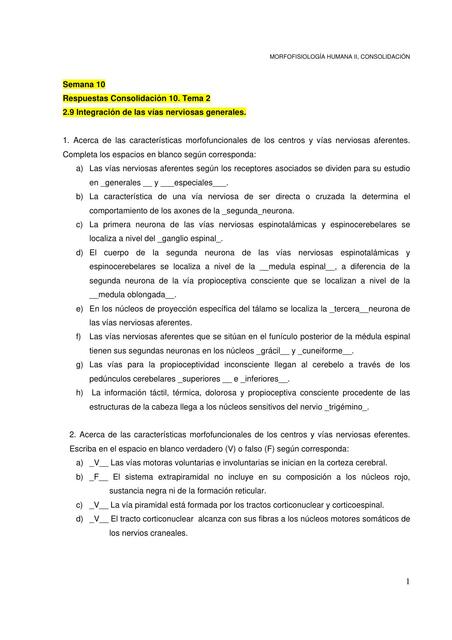 morfo 2 10 consolidaciones | mirla isabel | uDocz