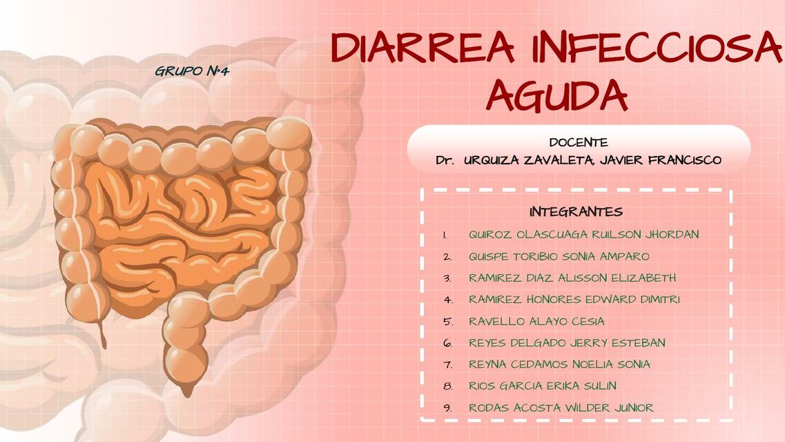 S12 DIARREA INFECCIOSA AGUDA G4 | Sonia Quispe | uDocz