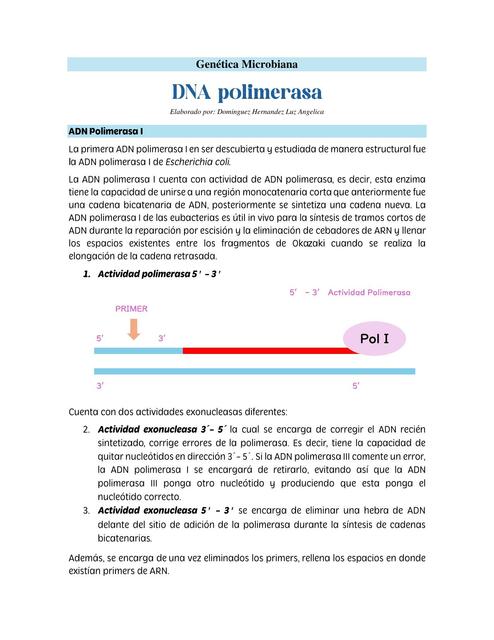 DNA polimerasa | Ranita Cientifica | uDocz