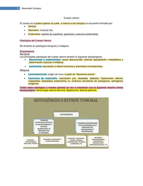 TEMA 4 patologia del cuerpo uterino | SOFIA | uDocz