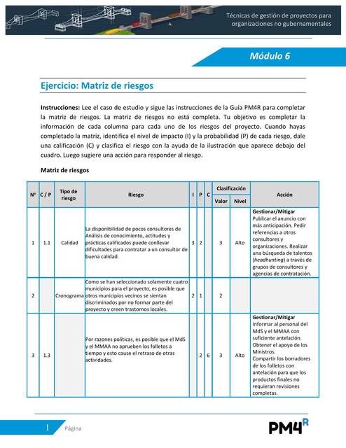 Module 6 Risk Matrix Exercise Instructions | JOSE MAXIMO CUQUEÑO BLANCO ...
