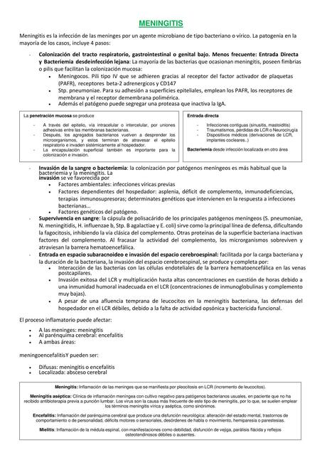 Flashcards de Meningitis | Por Laura Esteban Reaño | uDocz