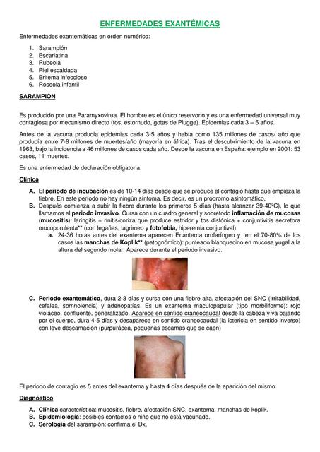 Enfermedades exantémicas | Laura Esteban Reaño | uDocz