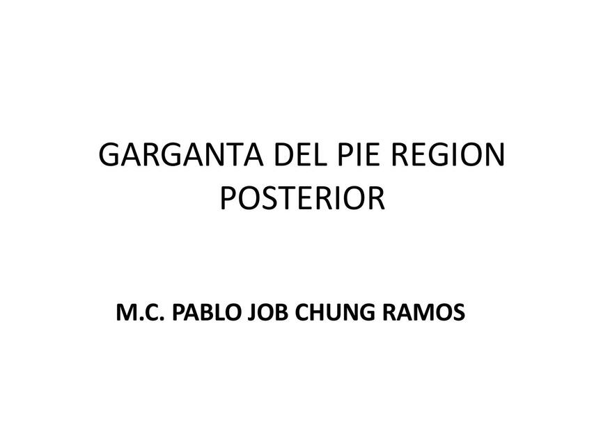 Garganta de pie region posterior 3 | pablo job | uDocz