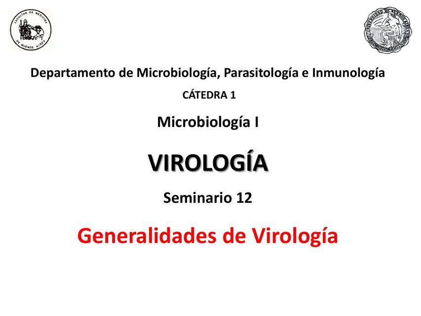 Celeste Codutti | uDocz