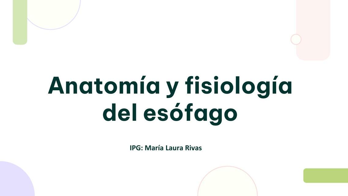 Anatomía del esófago | Cindy Peralta | uDocz