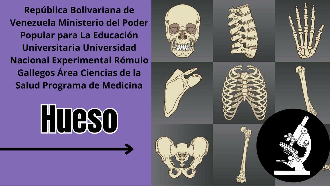 hueso | marielena | uDocz