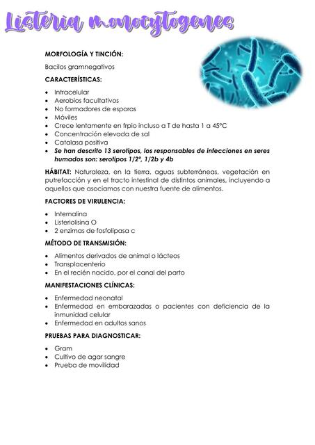 LISTERIA MONOCYTOGENES | Alejandra | uDocz