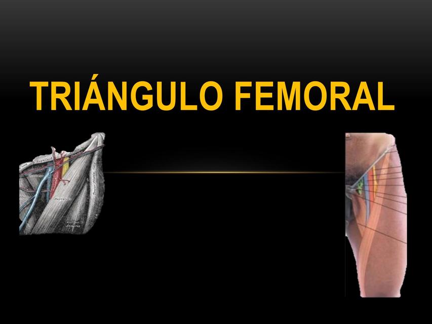 Disección Del Triángulo Femoral
