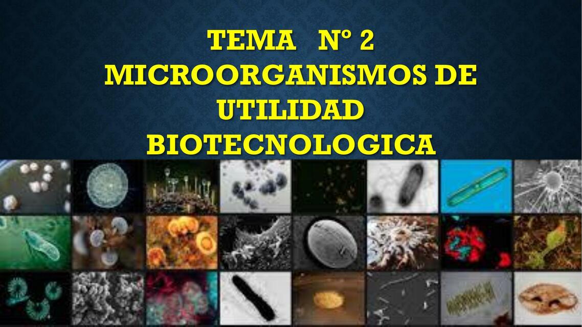 Microorganismos de utilidad biotecnológica | Mary Nela Barriga Herrera | uDocz