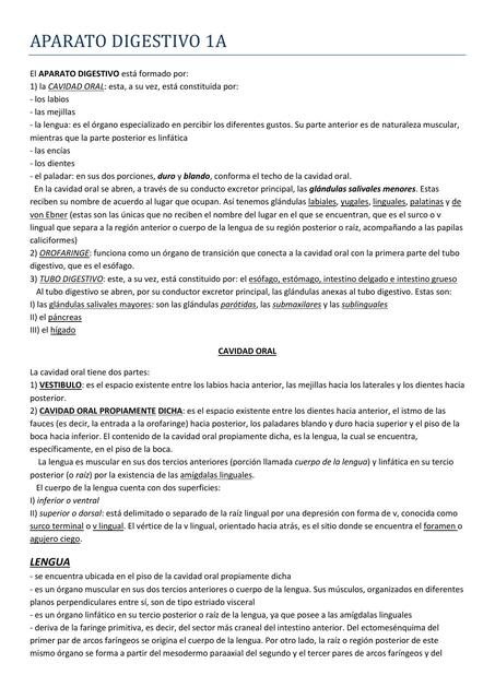 Aparato digestivo | antonella | uDocz