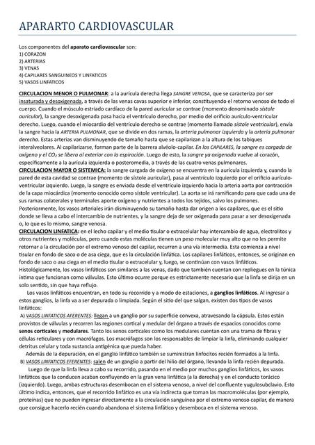 Aparato cardiovascular | antonella | uDocz