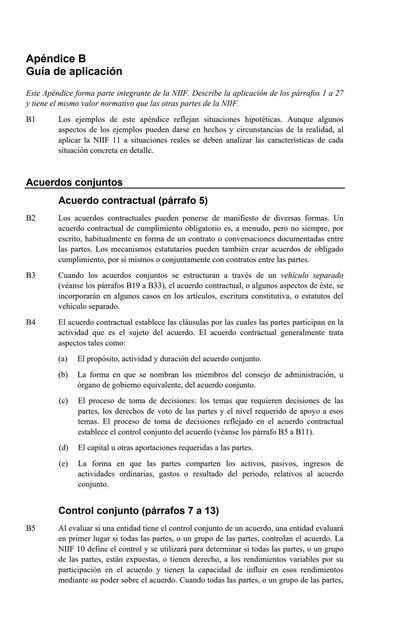 Resúmenes de NIIF 11 | Descarga apuntes de NIIF 11