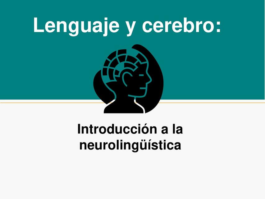 Lenguaje y cerebro | Elver Galarga | uDocz
