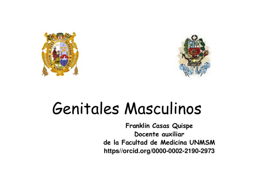 PELVIS VERANO | Elver Galarga | uDocz