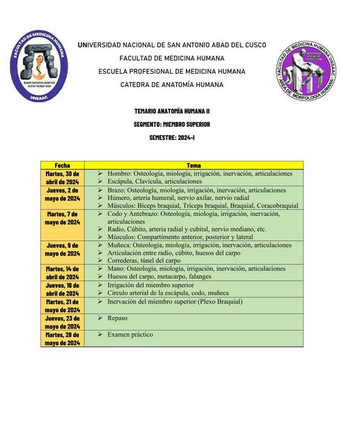 Cronograma Anatomia Humana II Miembro superior 1 | CAROLINA ESTHER | uDocz