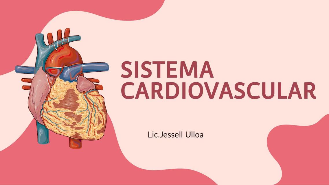 sistema cardio vascular | TBSC2 | uDocz