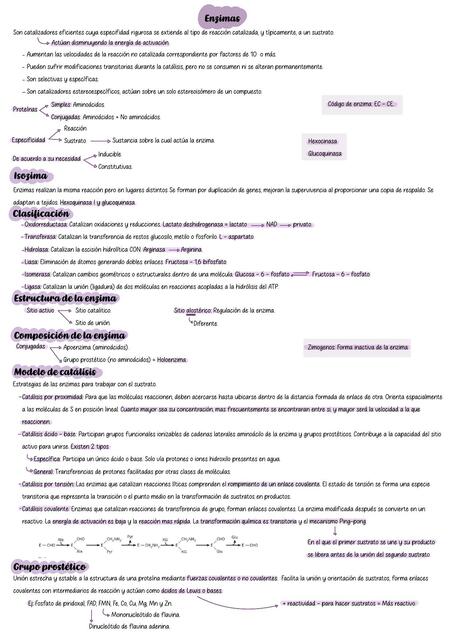 Enzimas | uDocz