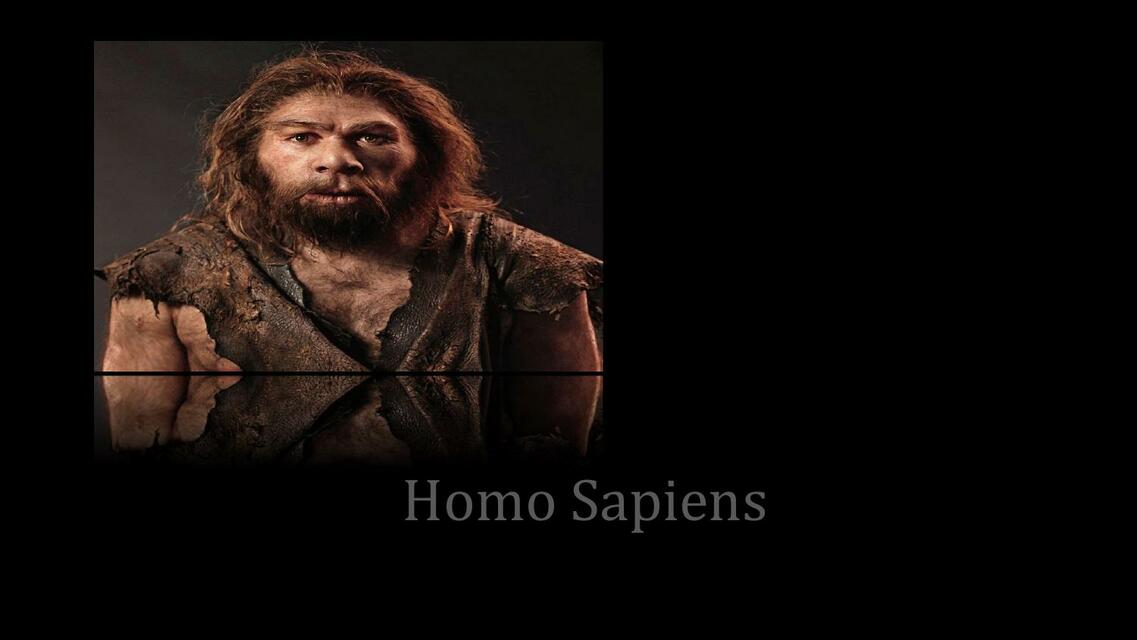 Resúmenes de Homo sapiens sapiens | Descarga apuntes de Homo sapiens ...