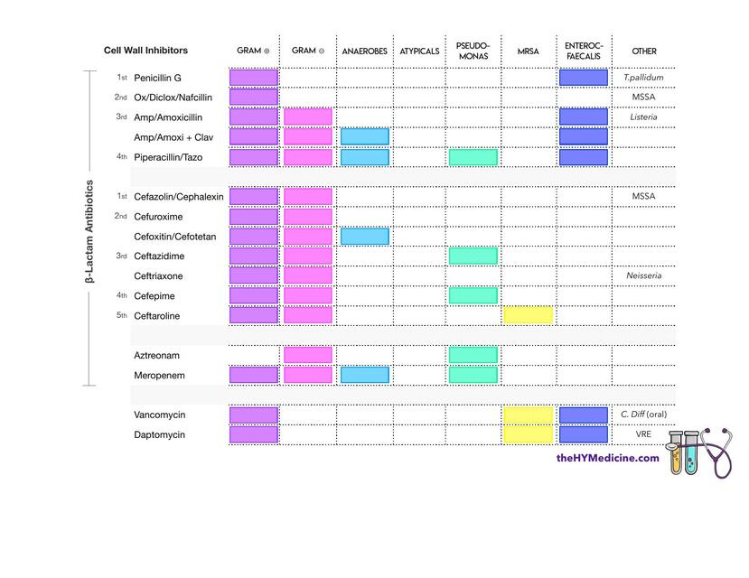 Cell Wall Inhibitors | Lari | uDocz