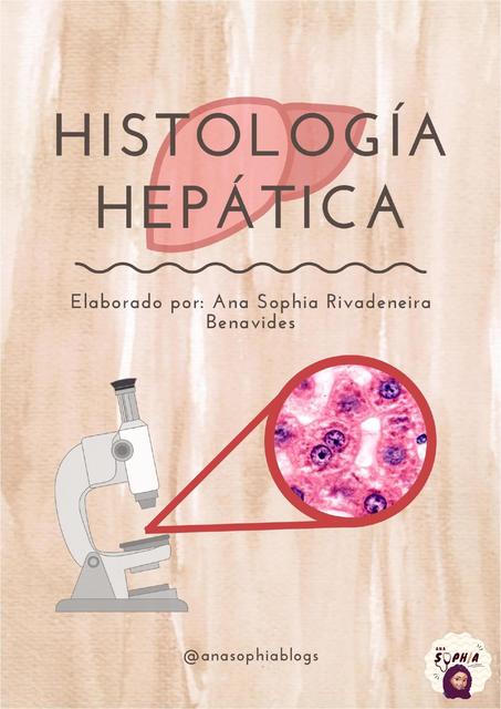 HISTOLOGÍA HEPÁTICA - HISTOLOGIA DEL HIGADO | Ana Sophia Blogs | uDocz