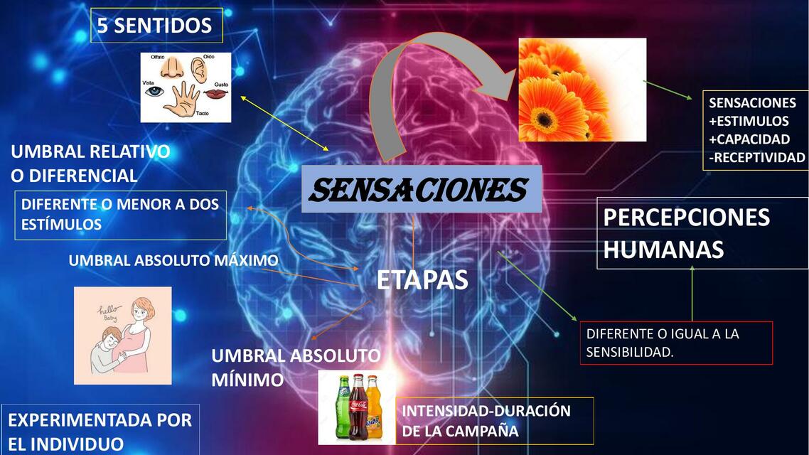 Presentación 5 | Freddysmar Anare | uDocz