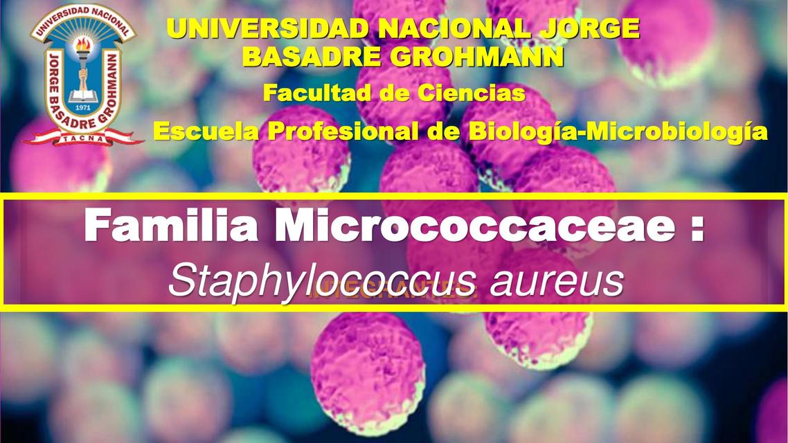 Familia Micrococcaceae | uDocz creators | uDocz