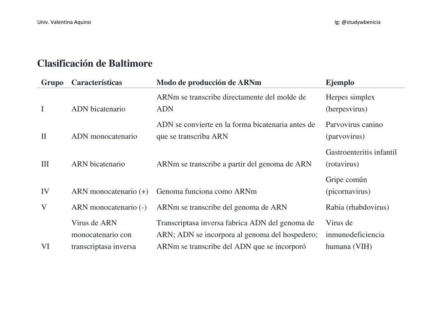 Clasificacion de Baltimore | Valentina Luján | uDocz