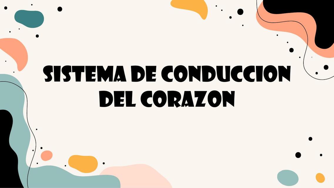 Sistema excito conductor y vascularizacion cardio | Monserrat Barrios ...