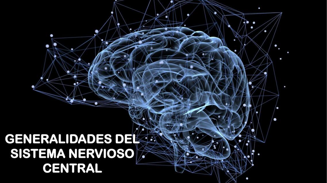 SNC GENERALIDADES | Monserrat Barrios | uDocz