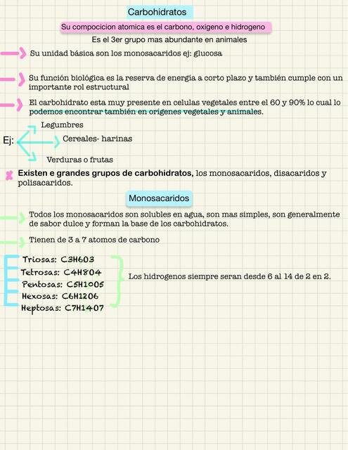 Biomoleculas | Rocio | uDocz