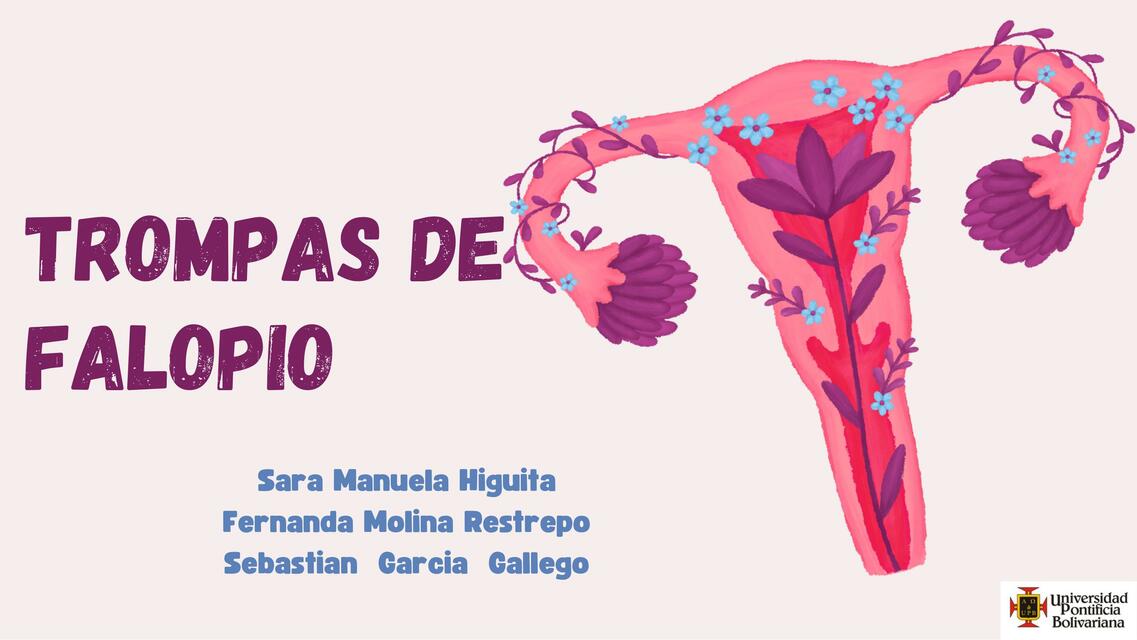 Presentación trompas de falopio | Sara | uDocz