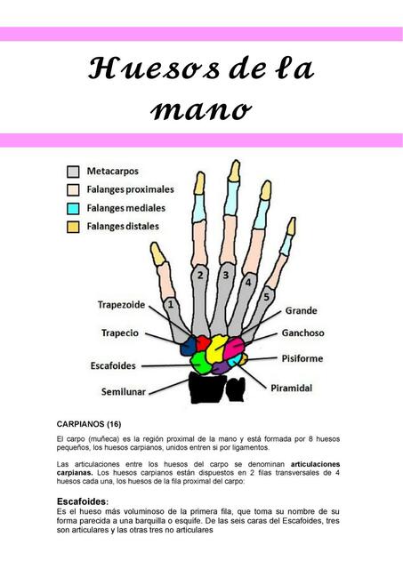 document | Sharik Montalvo | uDocz