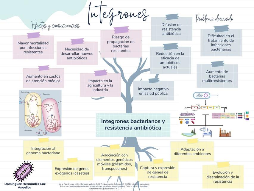 Resúmenes de Intrones y exones | Descarga apuntes de Intrones y exones