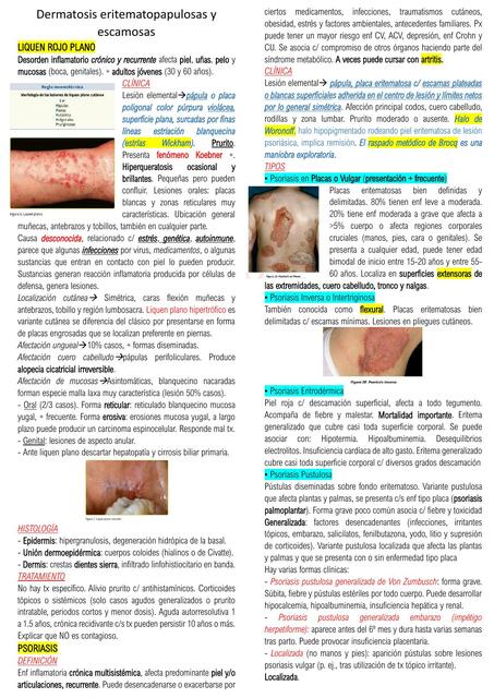 DERMATOSIS ERITEMATOPAPULOSAS Y ESCAMOSAS | Luisana Aneth CR | uDocz