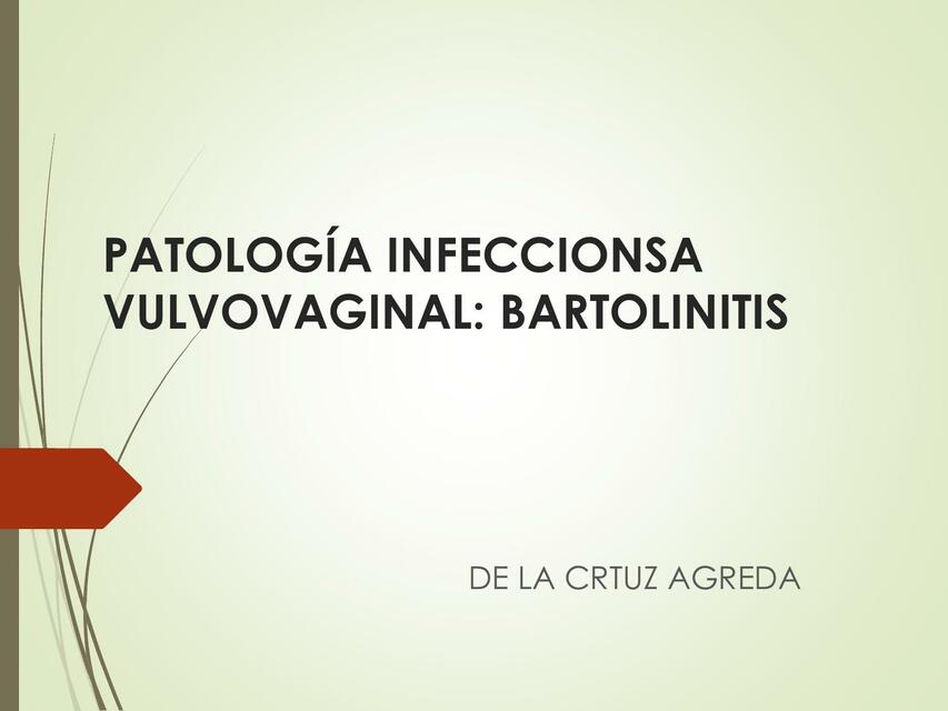 Patología infecciosas vulvovaginal: bartolinitis | Robert Tarrillo | uDocz