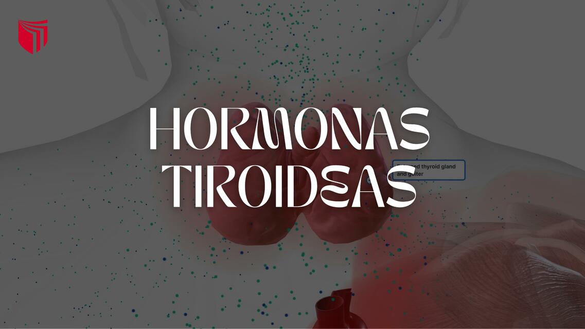 HORMONAS TIROIDEAS | Alexander Moller | uDocz