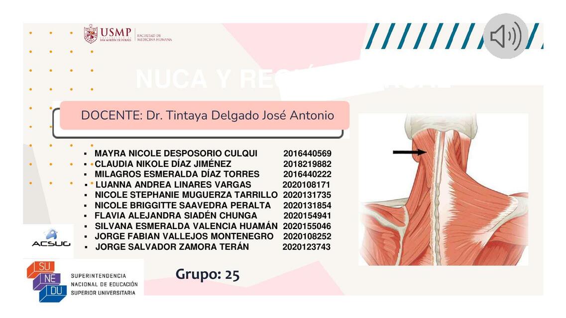 Anatomía Humana Nuca | Rosangela Vásquez Gallardo | uDocz