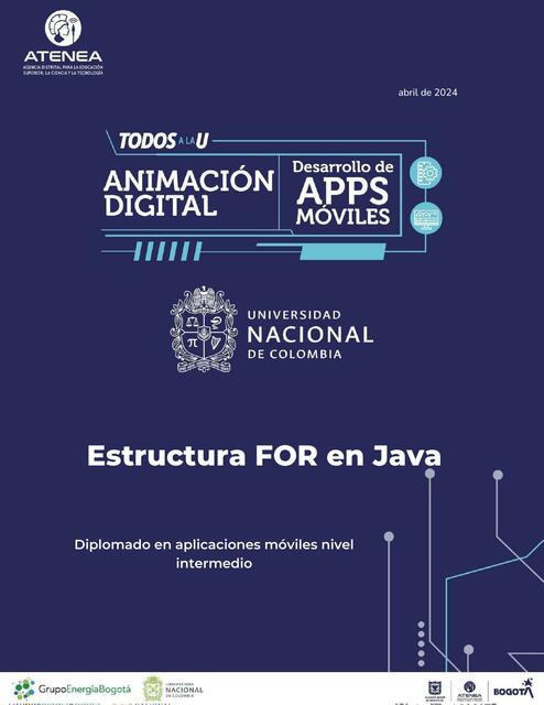 Estructura FOR en Java | erik stiven | uDocz