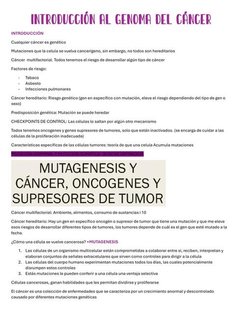 SEGUNDO PARCIAL APUNTES | Tania Duque García | uDocz