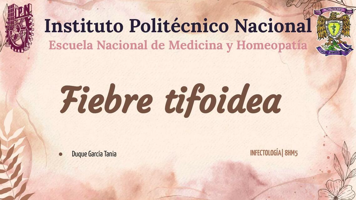Fiebre Tifoidea | Tania Duque García | uDocz