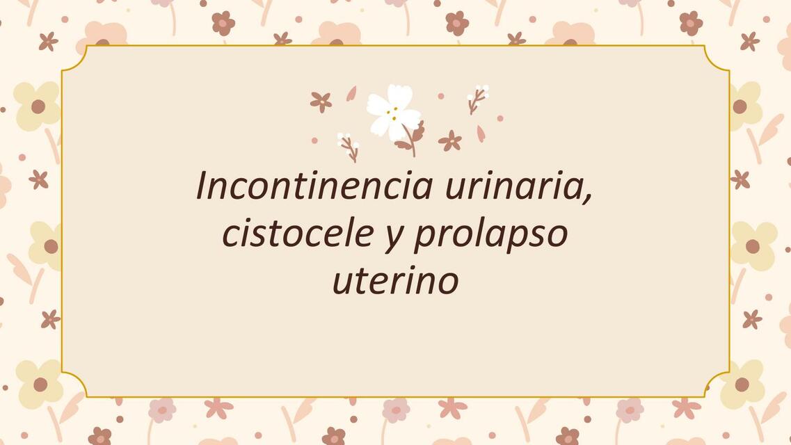 Incontinencia uriaria cistocele y prolapso uterino - Medicina familiar ...
