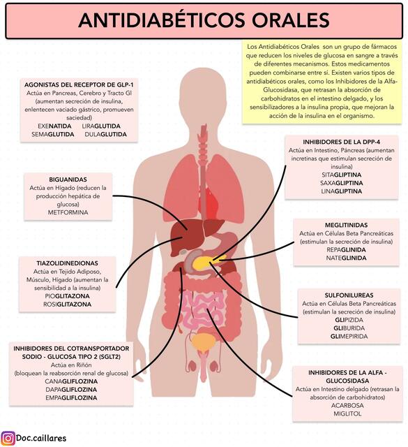 ANTIDIABÉTICOS ORALES | Dr. Boris Moises Caillares Montaño | uDocz