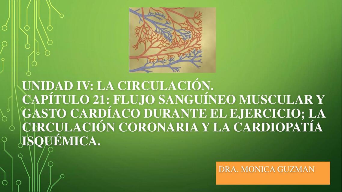 21 flujo sanguineo muscular y gasto cardiaco | sofia | uDocz