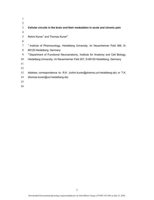 Cellular circuits in the brain and their modulation in acute and ...