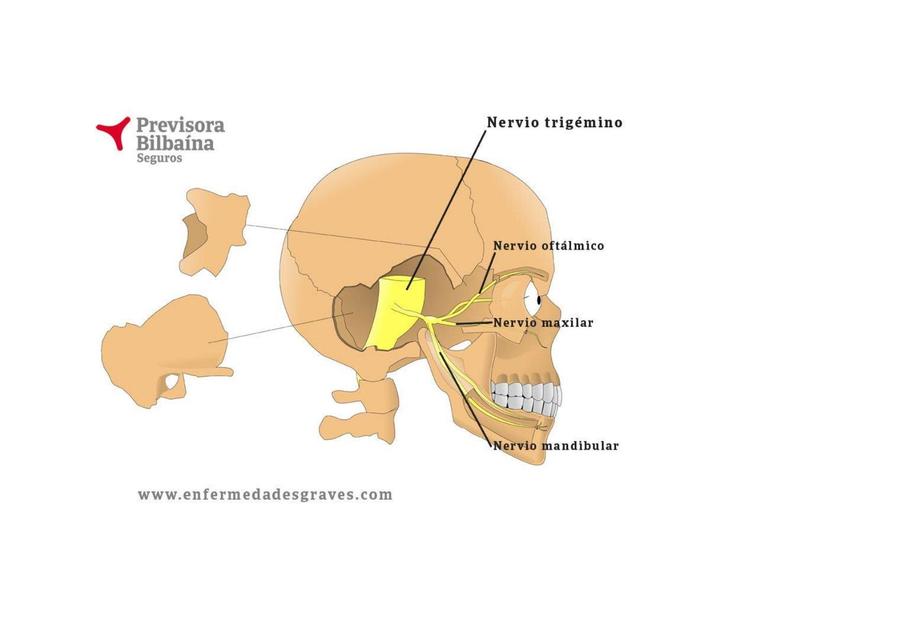 MASISO FACIAL | STANISLAO FERNANDO CRIOLLO VÁSQUEZ | uDocz