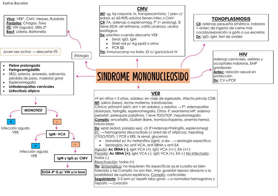 SINDROME MONONUCLEOSIDO | Karine Bacellar | uDocz